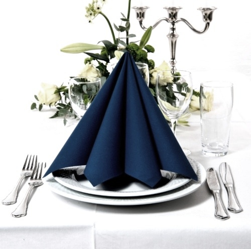 Katalog zboží > Papírové ubrousky a ubrusy > 40x40 cm jednobarevné ...